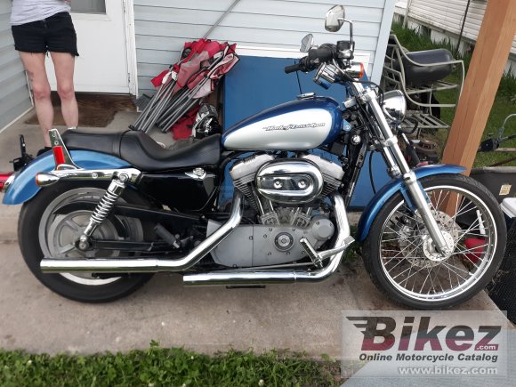 Harley-Davidson XL 883 C Sportster Custom gallery